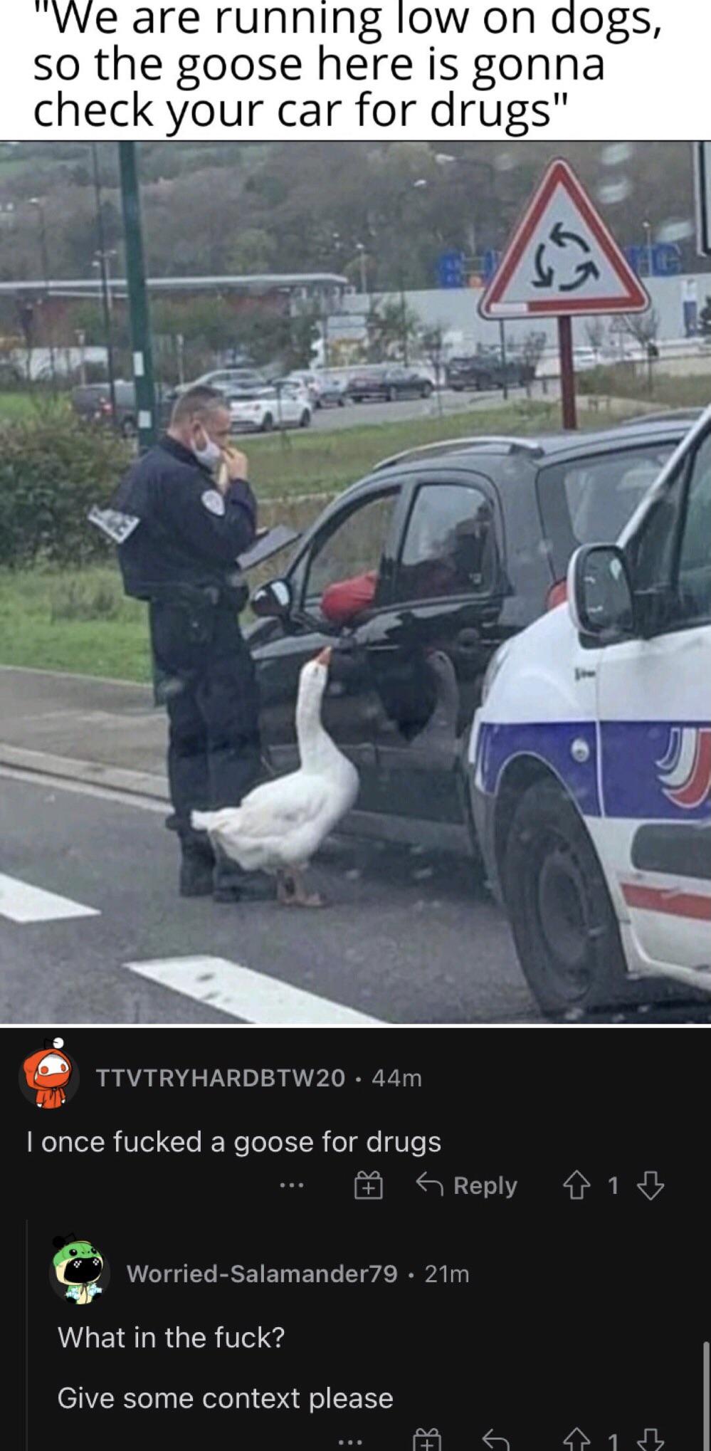 cursed_goose | Scrolller