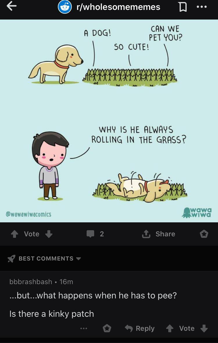 Cursed grass | Scrolller