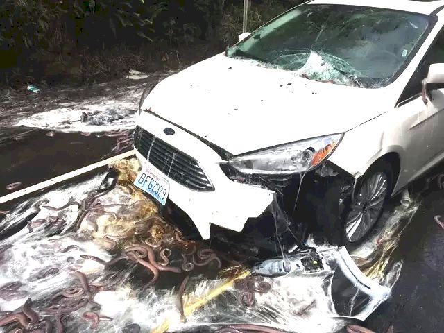 Cursed_Hit | Scrolller