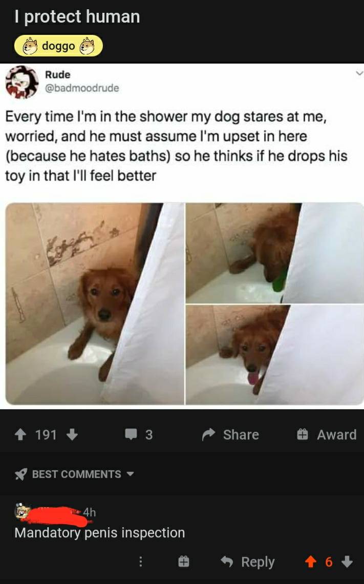 Cursed_Inspection | Scrolller