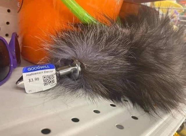 Cursed_item | Scrolller