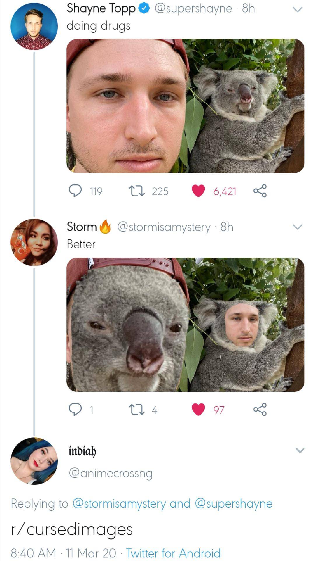 Cursed_koala | Scrolller