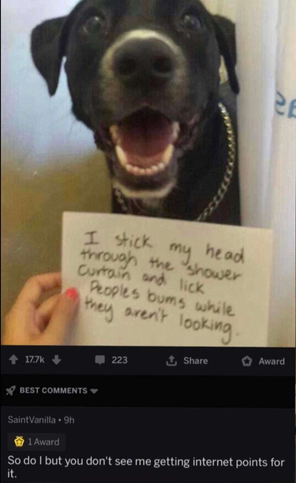 Cursed_Lick | Scrolller