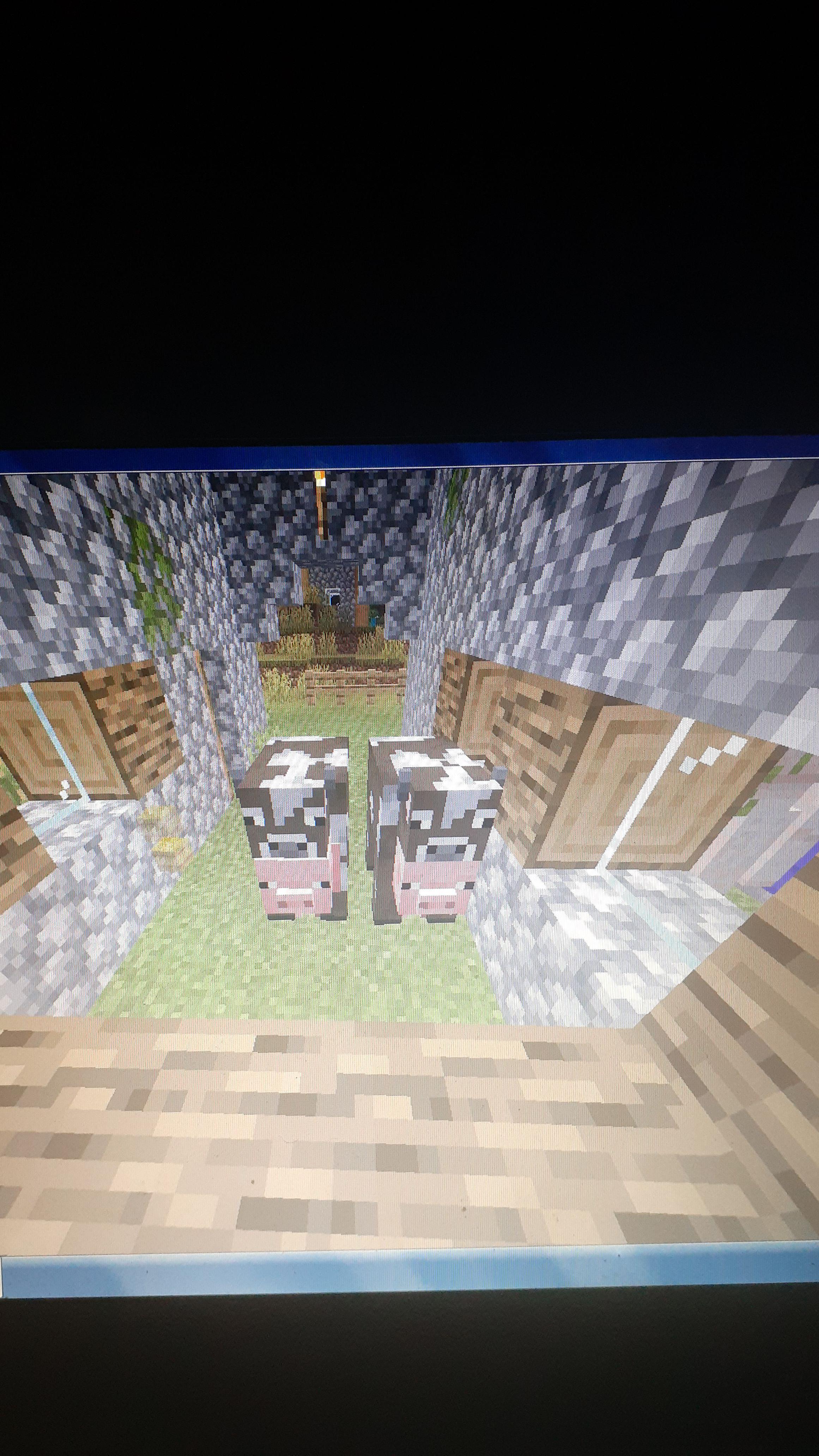 Cursed moment | Scrolller