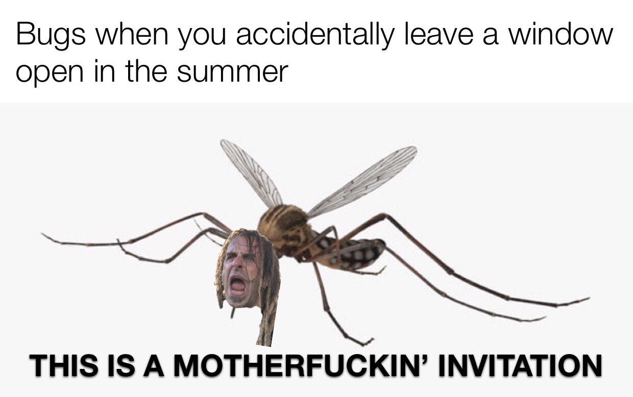 Cursed_Randy | Scrolller