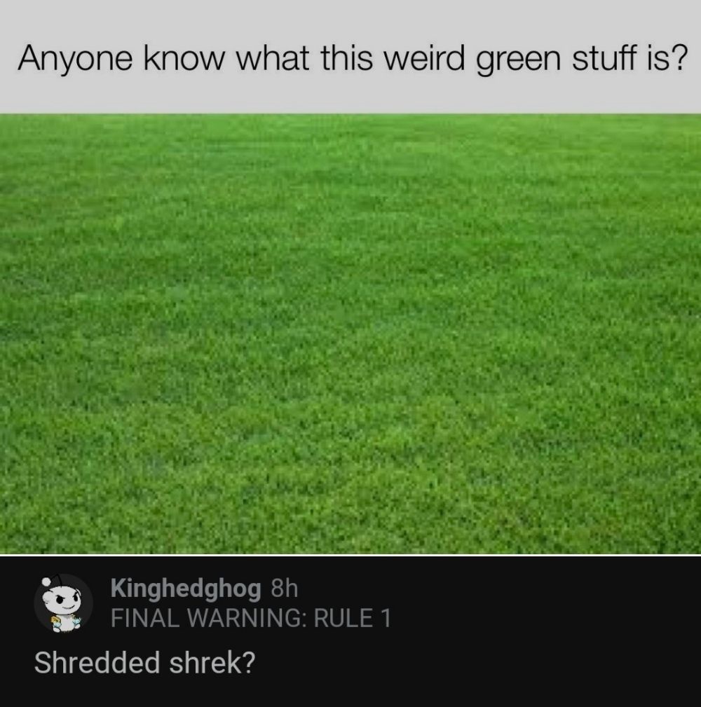 cursed_shrek | Scrolller