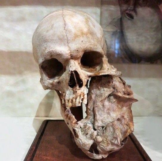 Cursed_Skull | Scrolller