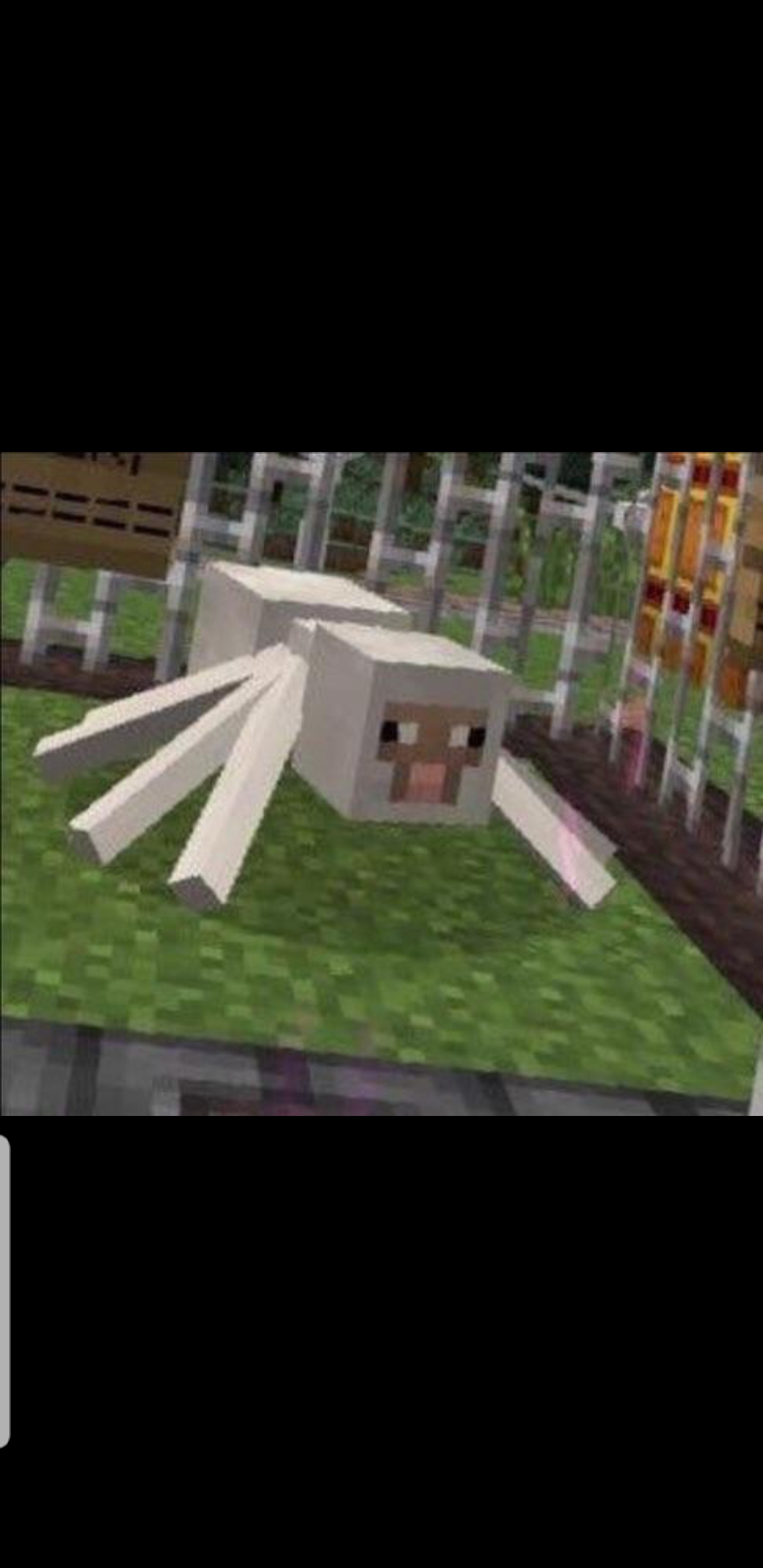Cursed_spider | Scrolller