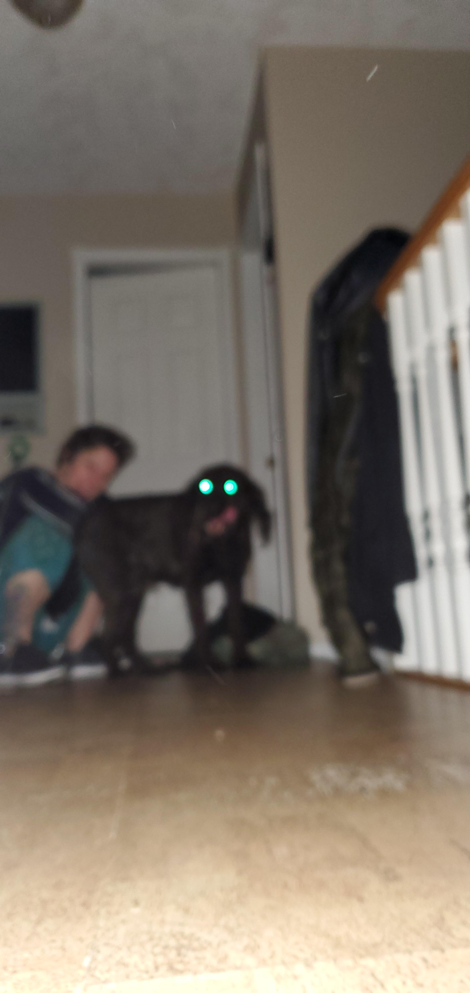Cursed_stare | Scrolller
