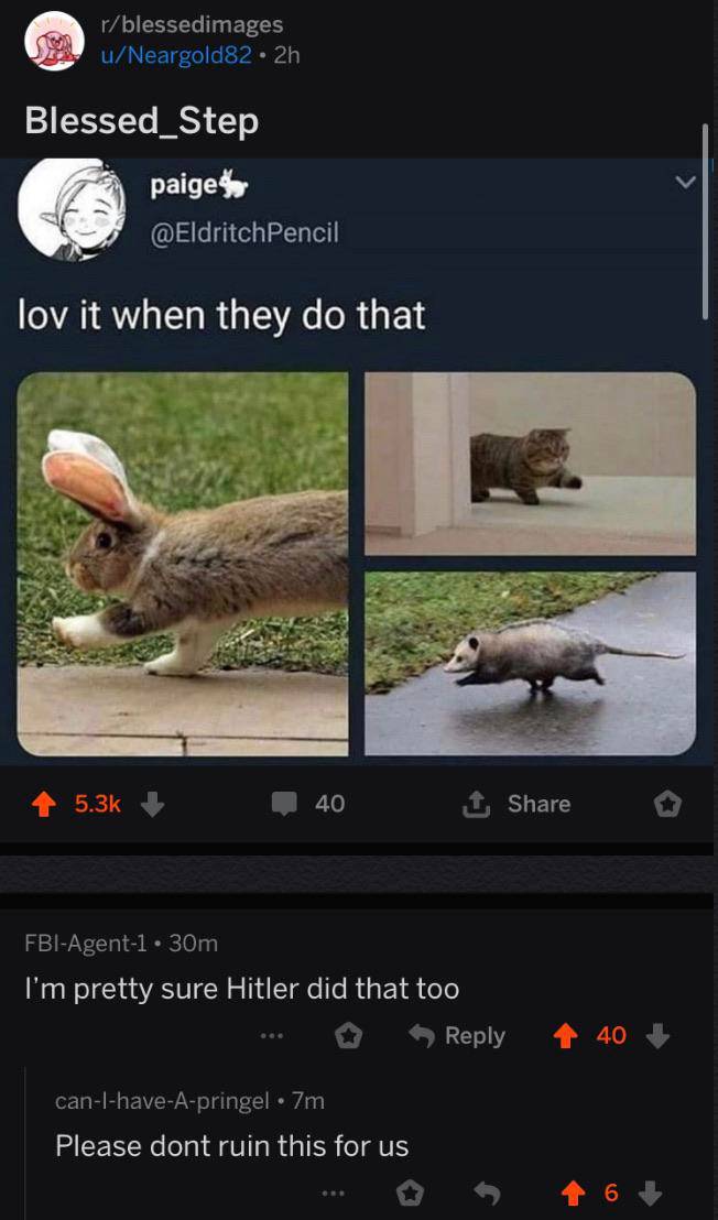 Cursed_Step | Scrolller