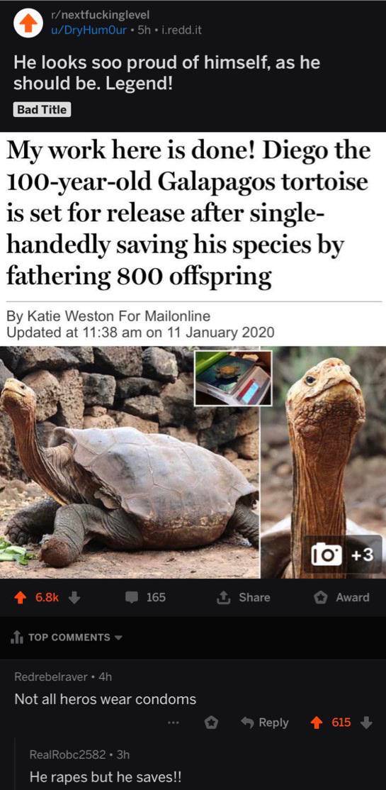 Cursed_Turtle | Scrolller