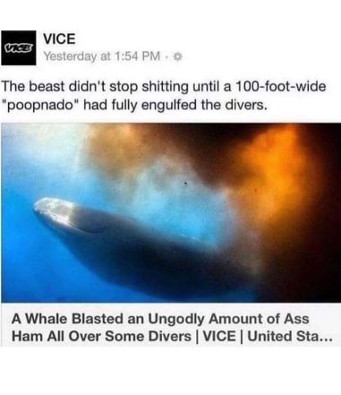 Cursed whale | Scrolller