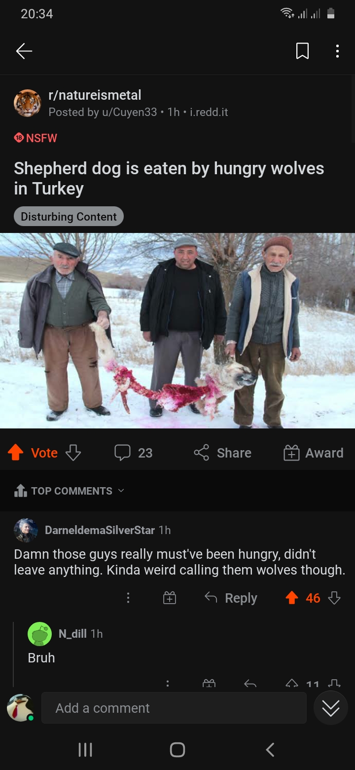 Cursed_wolves | Scrolller