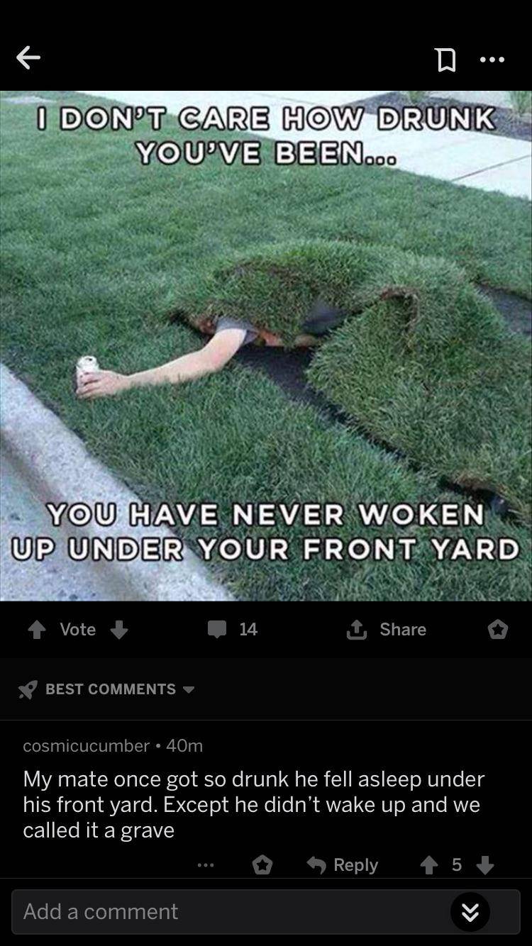 Cursed_Yard | Scrolller