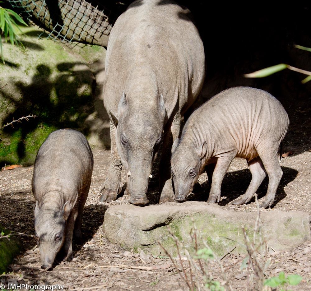 Cute babies | Scrolller