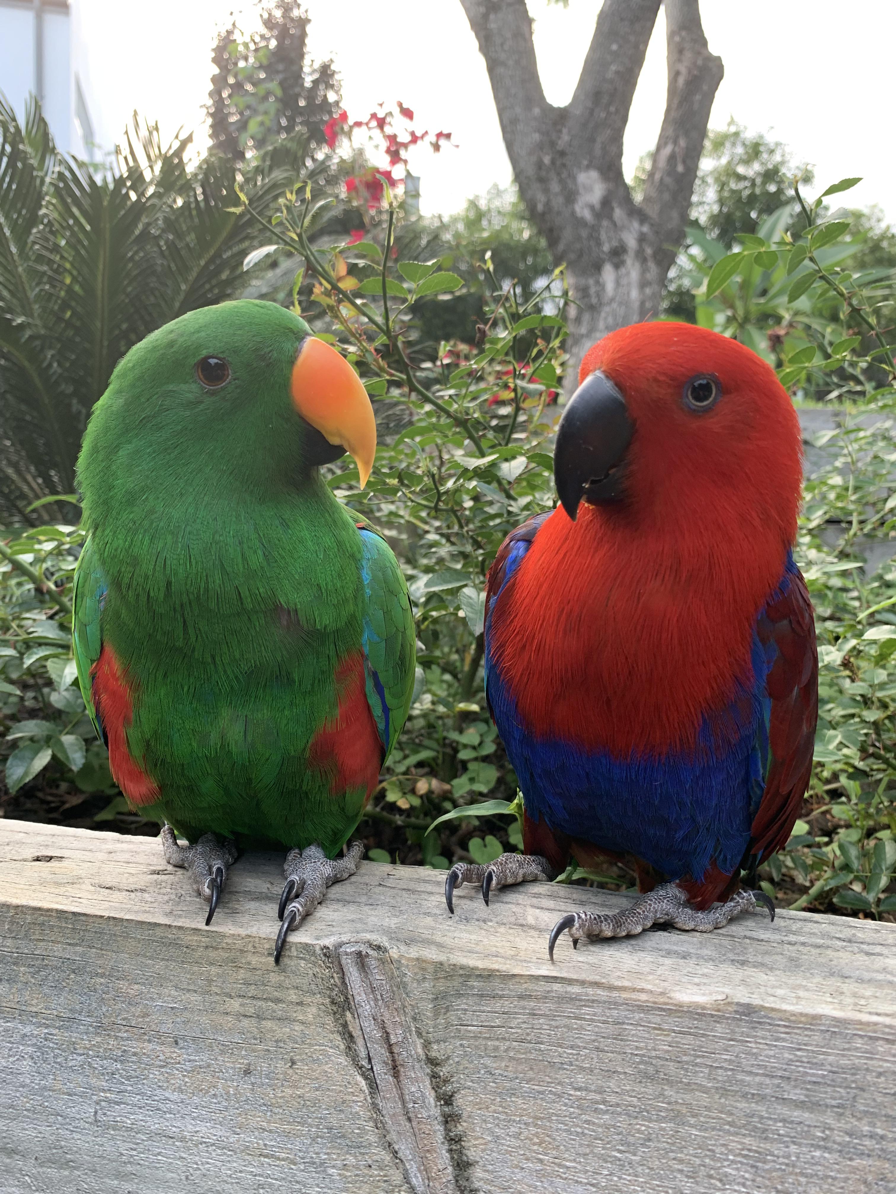 Cute Couple | Scrolller