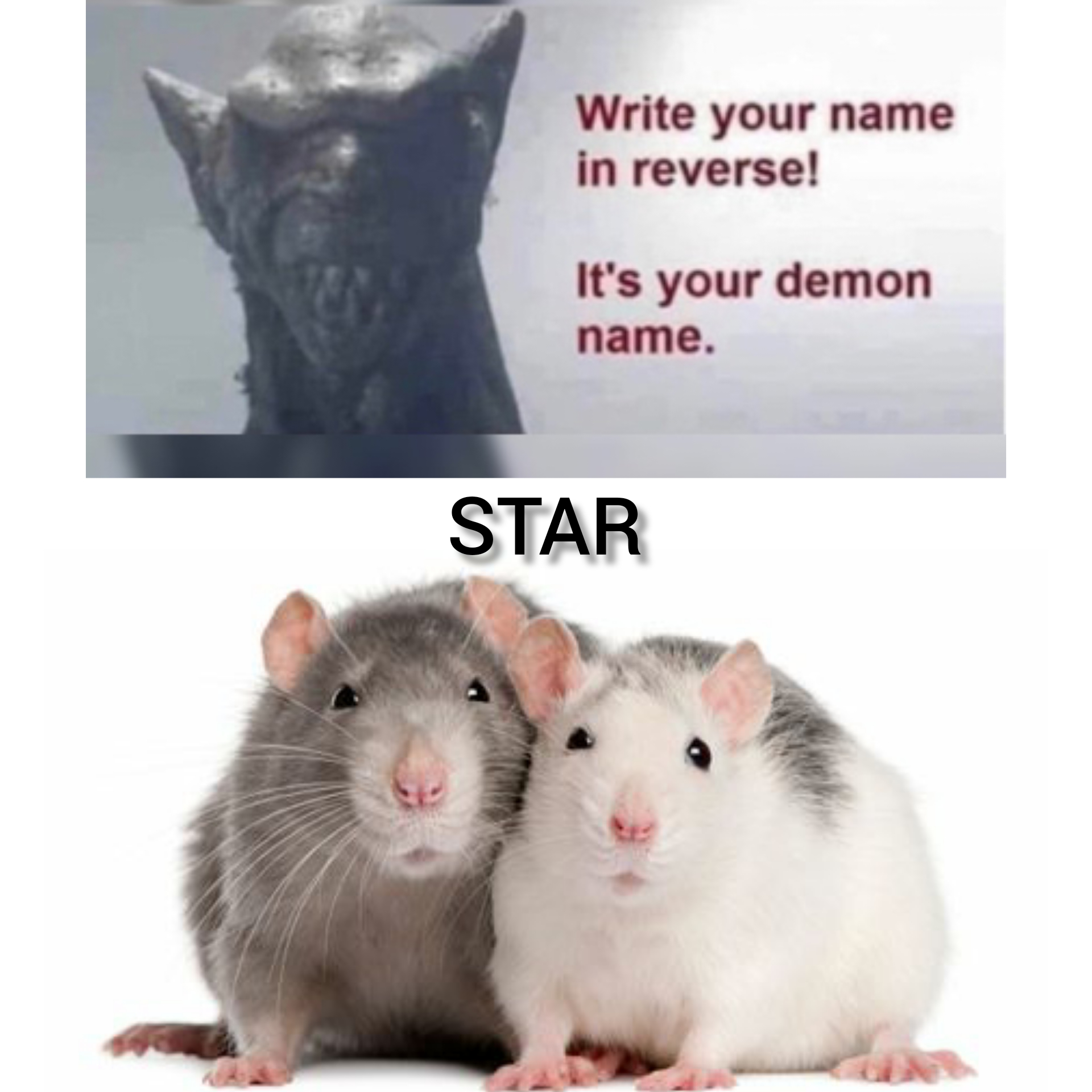 Cute Demons | Scrolller