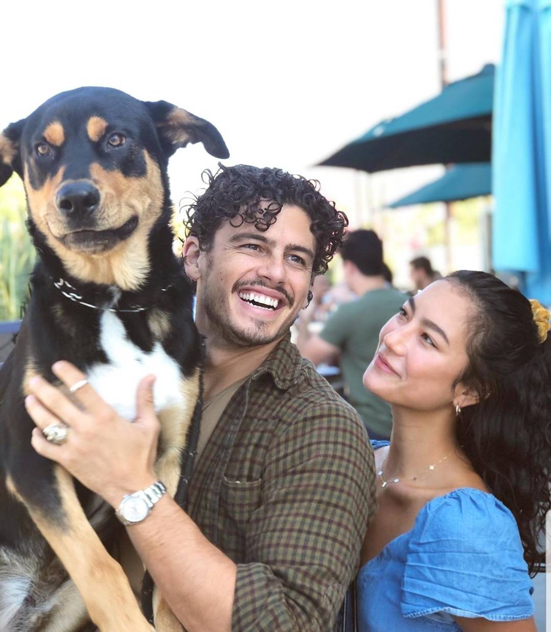 Cute dog | Scrolller