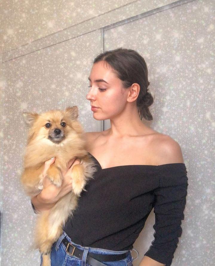 Cute Dog... | Scrolller