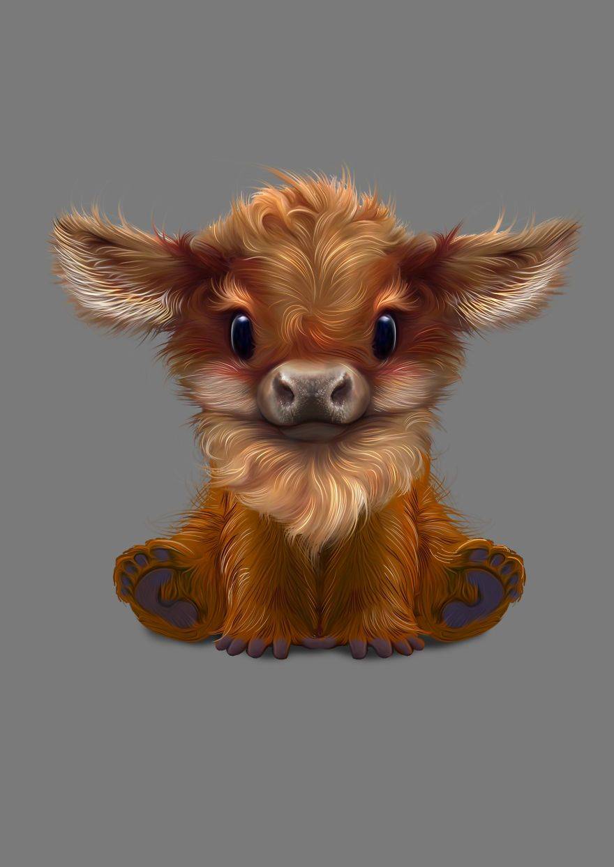 Cute Little Calf | Scrolller