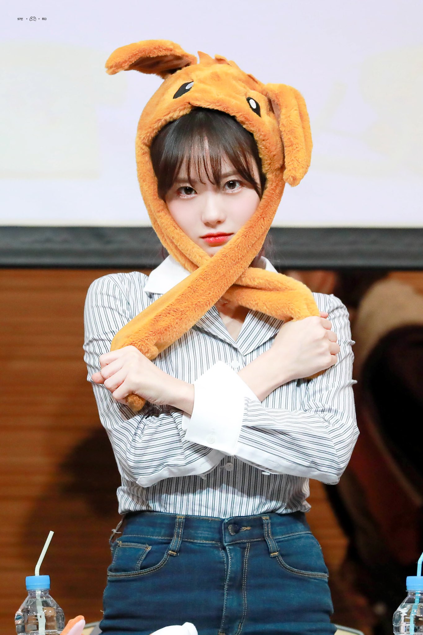 Cute Luda | Scrolller