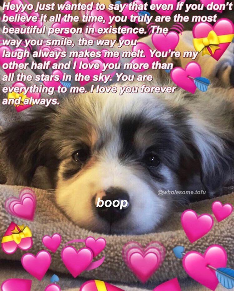 Cute memes | Scrolller