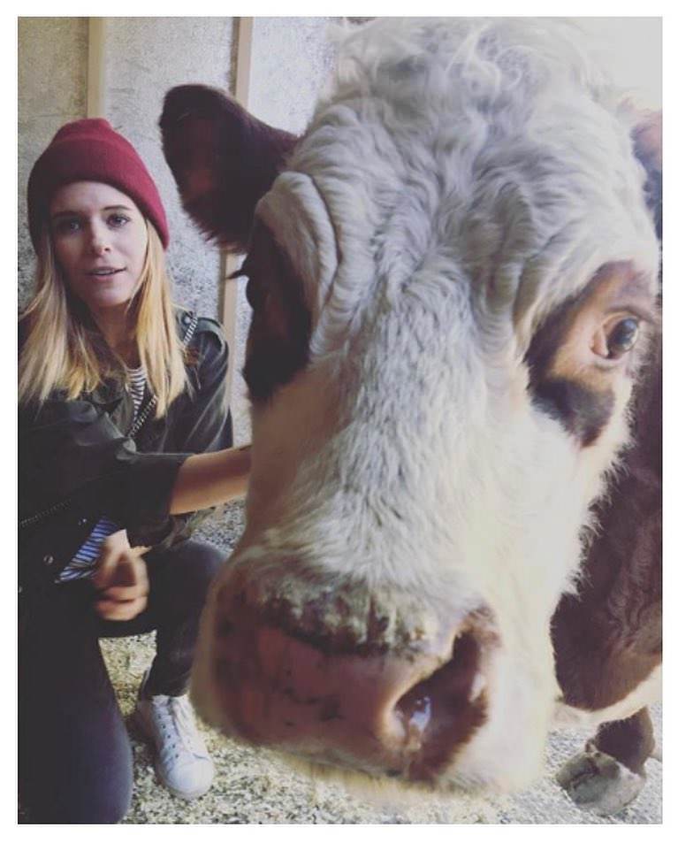 Cute selfie, with a cow | Scrolller