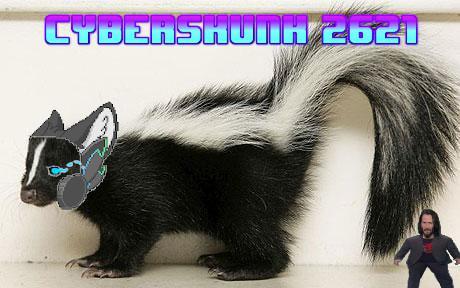 cyberskunk_irl | Scrolller