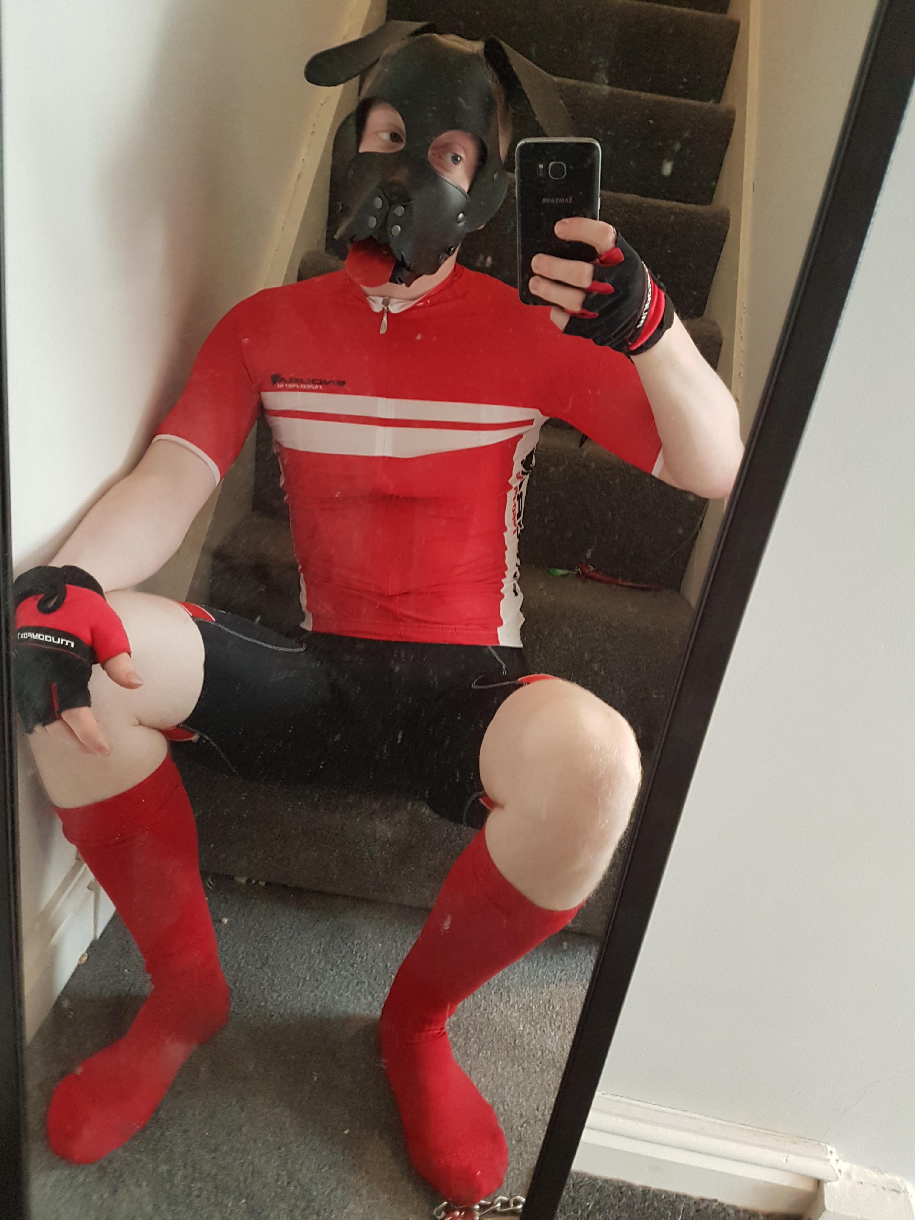 CyclePup | Scrolller