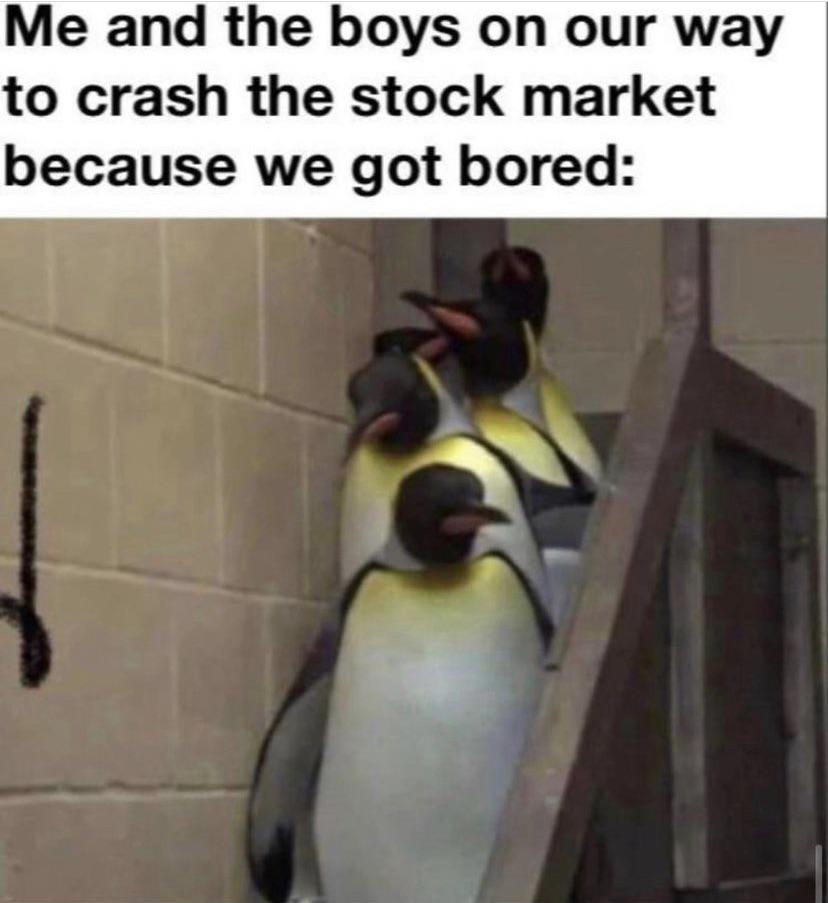 Da bois are back | Scrolller