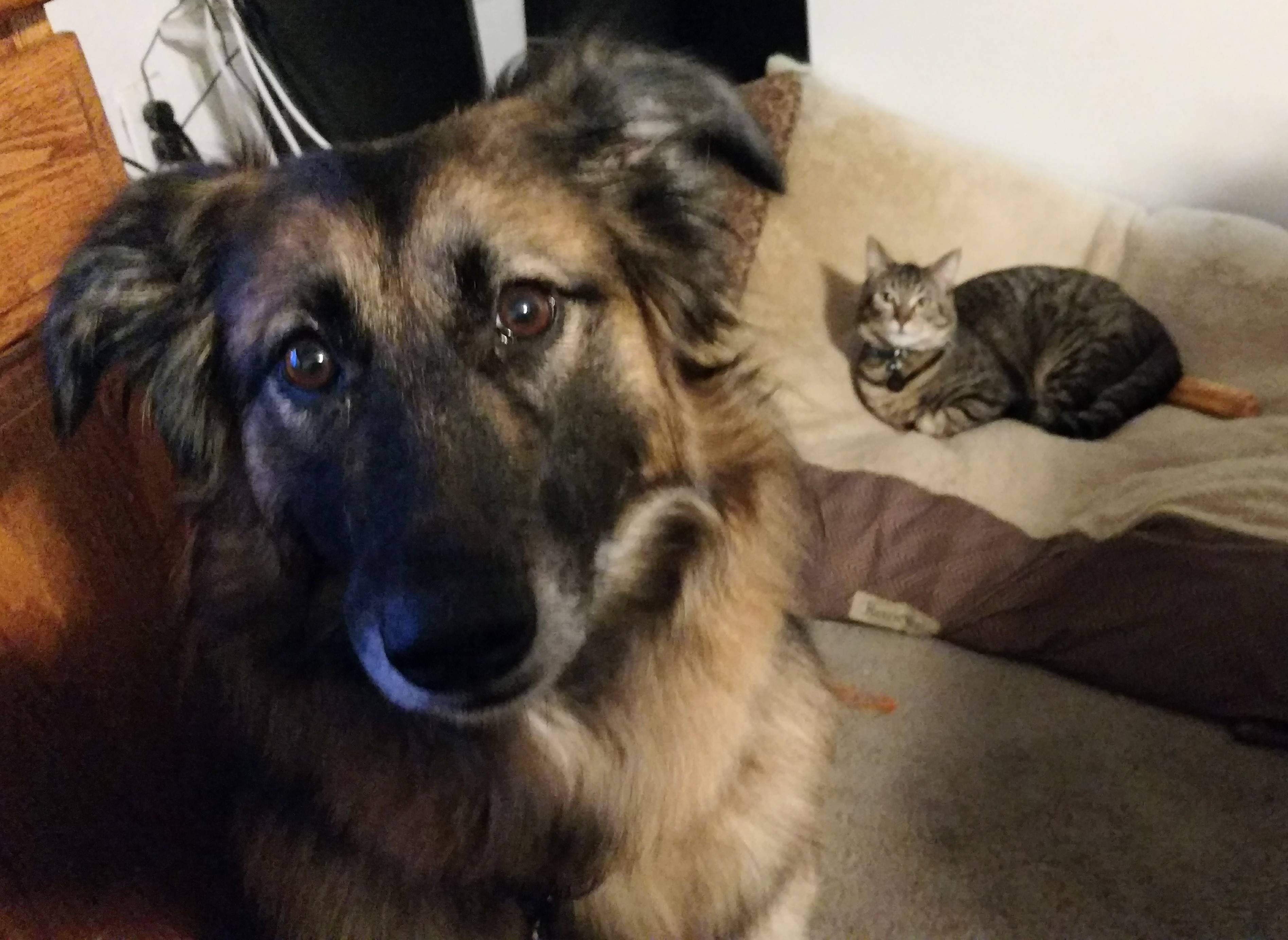 Dad... DAD! Do Something! | Scrolller