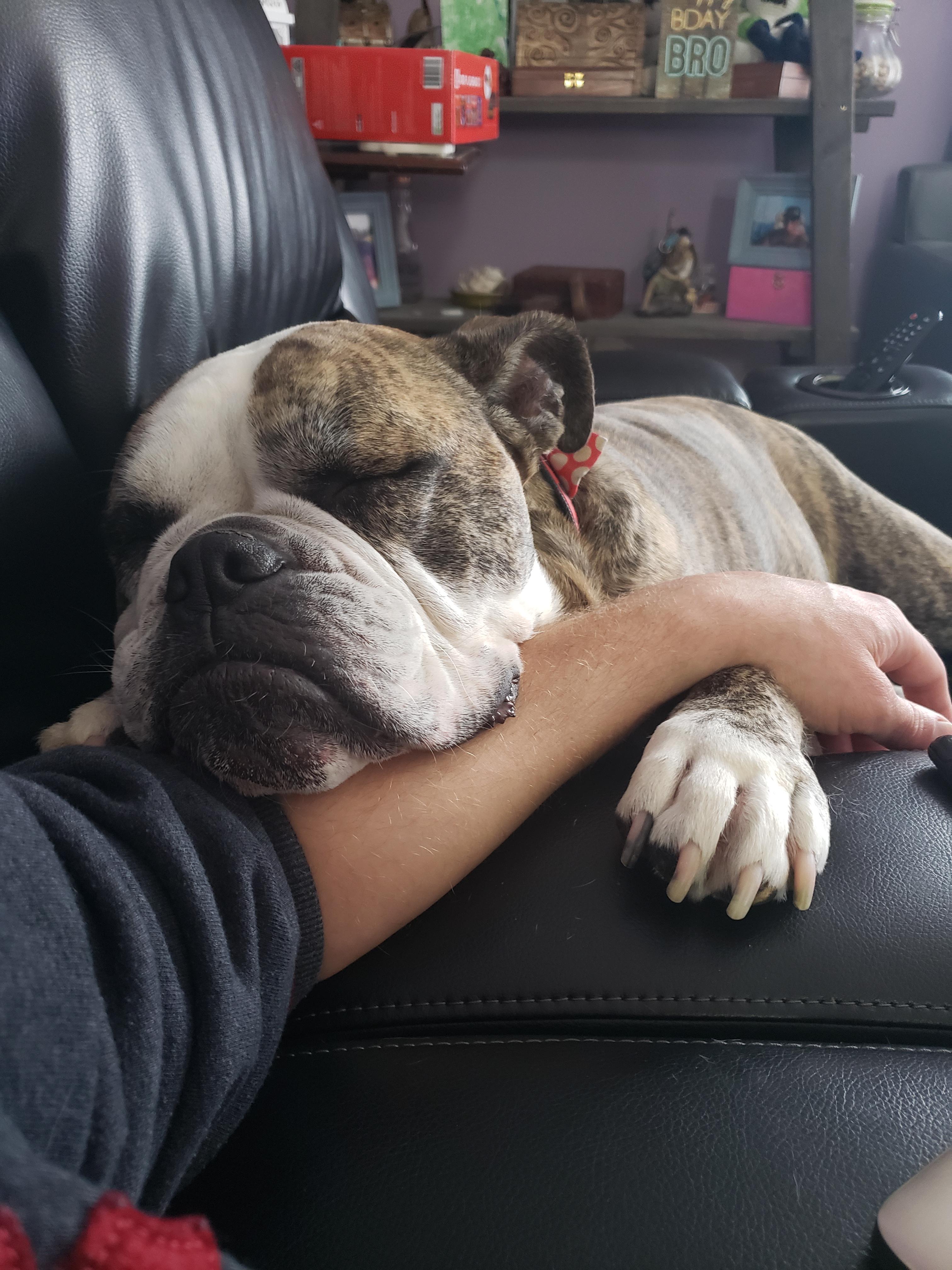 Daddy, you're comfy. | Scrolller