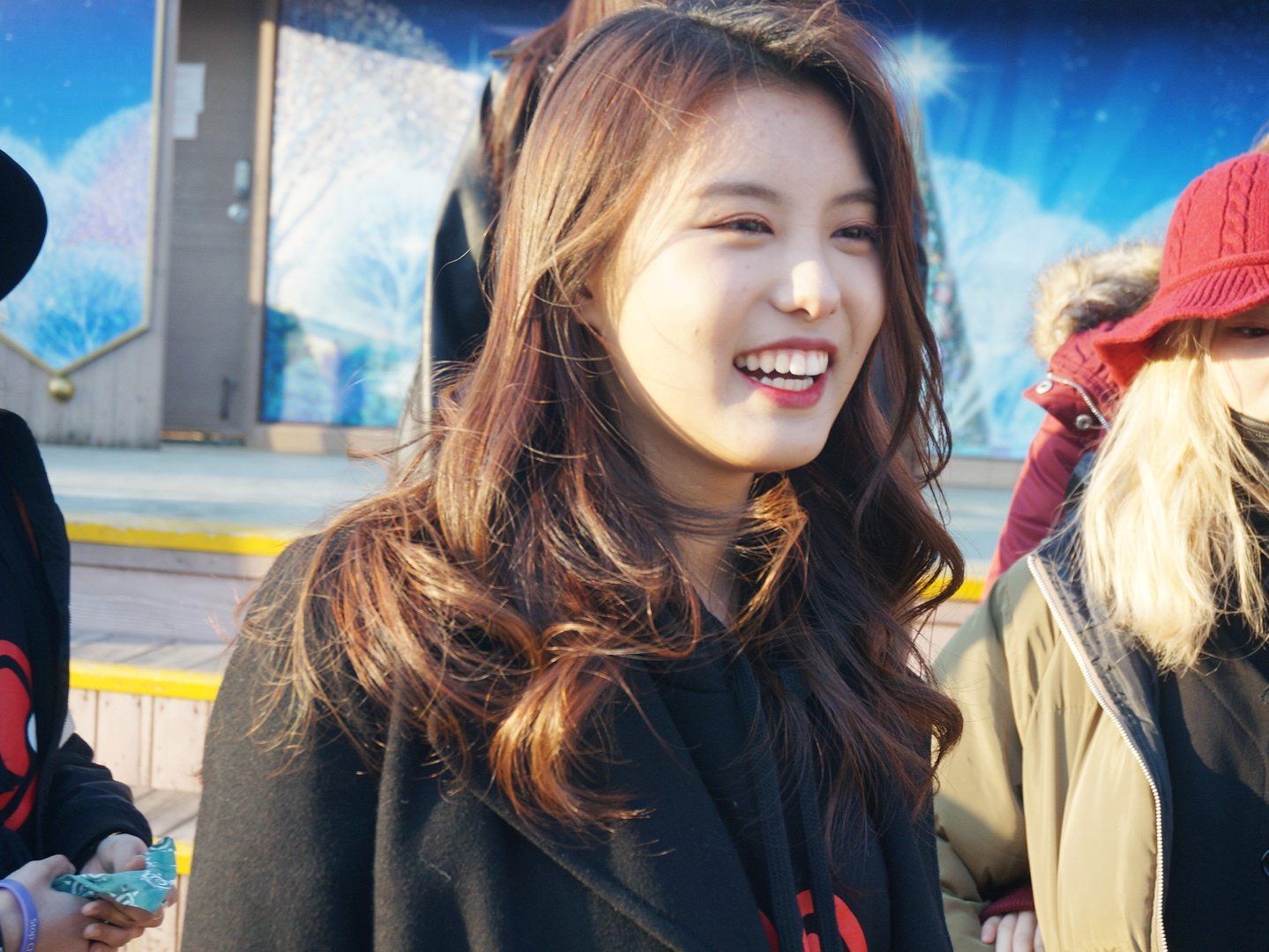 Daily Ahin #140 | Scrolller