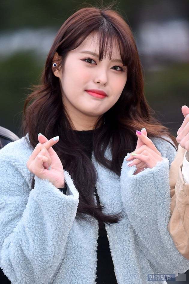 Daily Ahin #93 | Scrolller