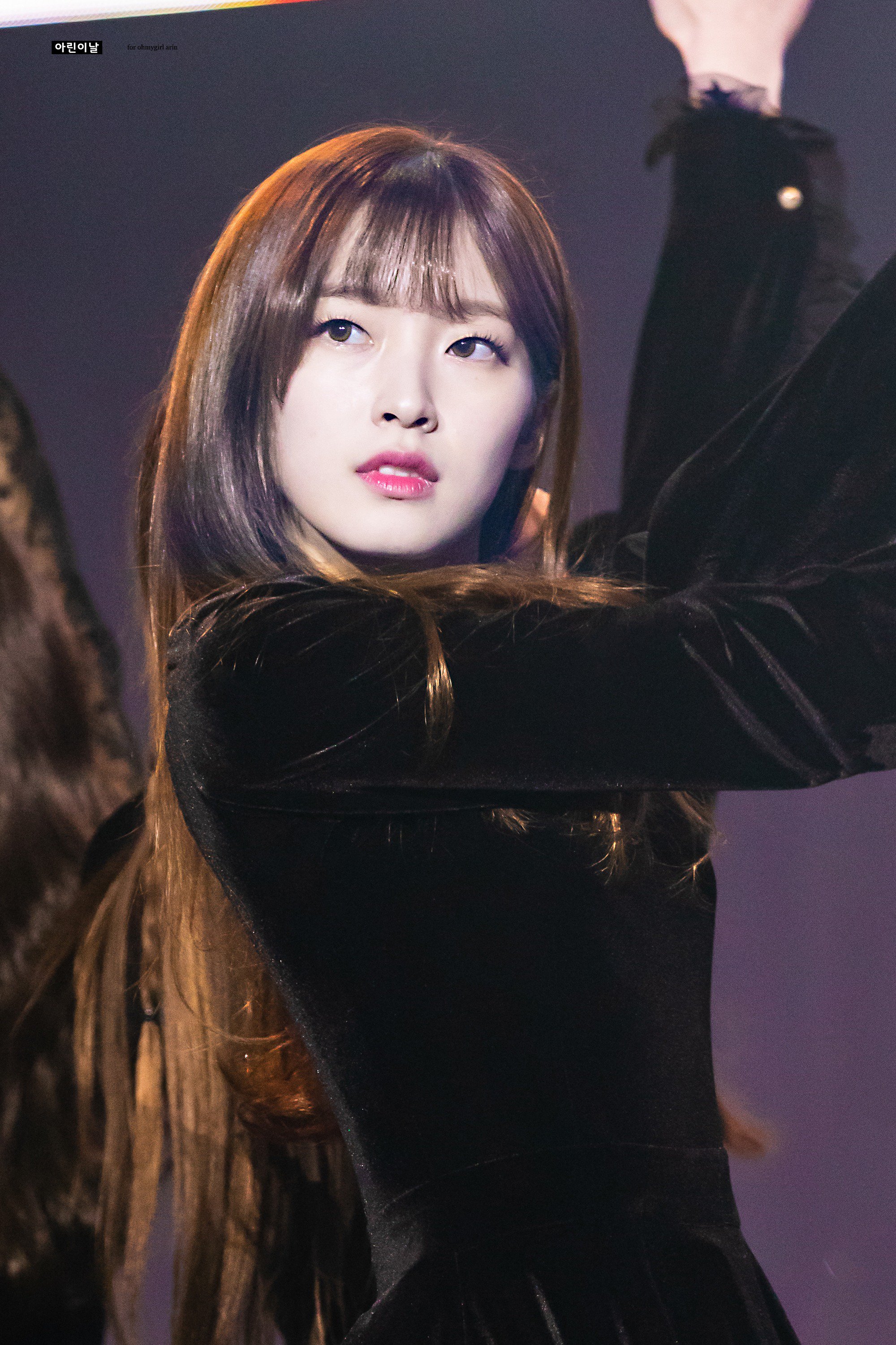 Daily Arin #29 | Scrolller