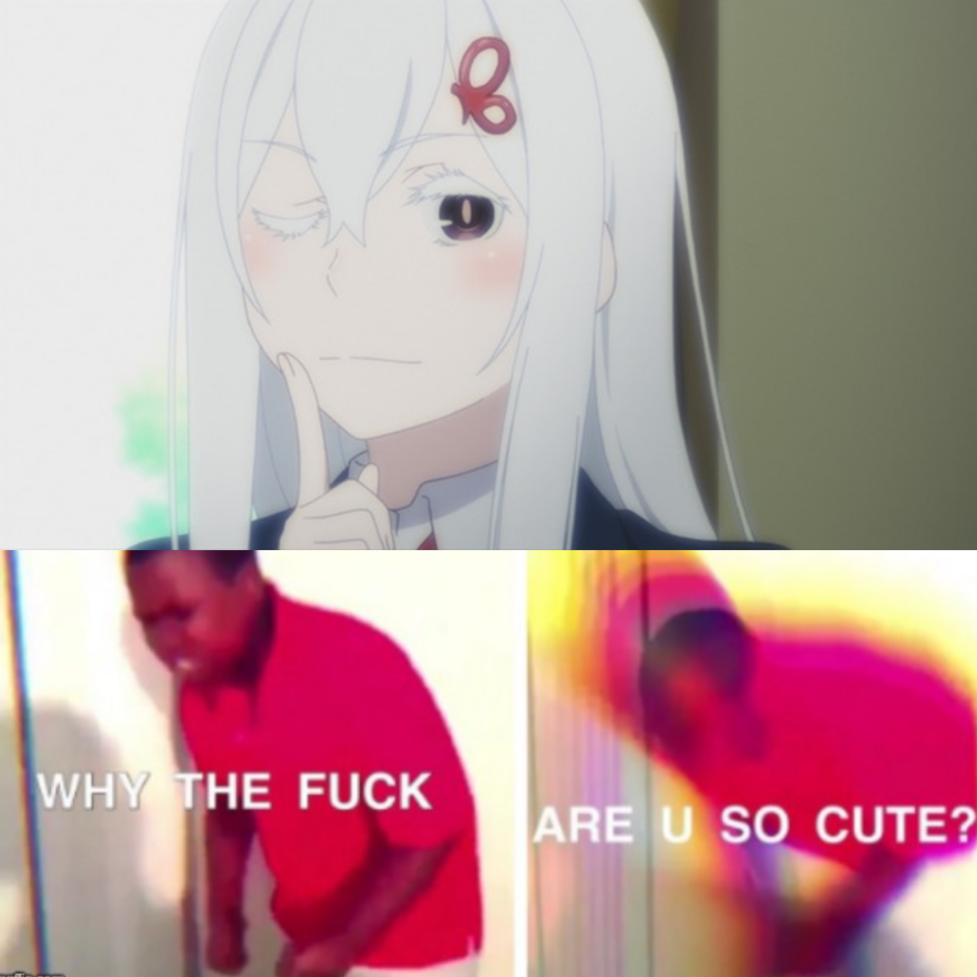 Daily Echidna meme #10 | Scrolller