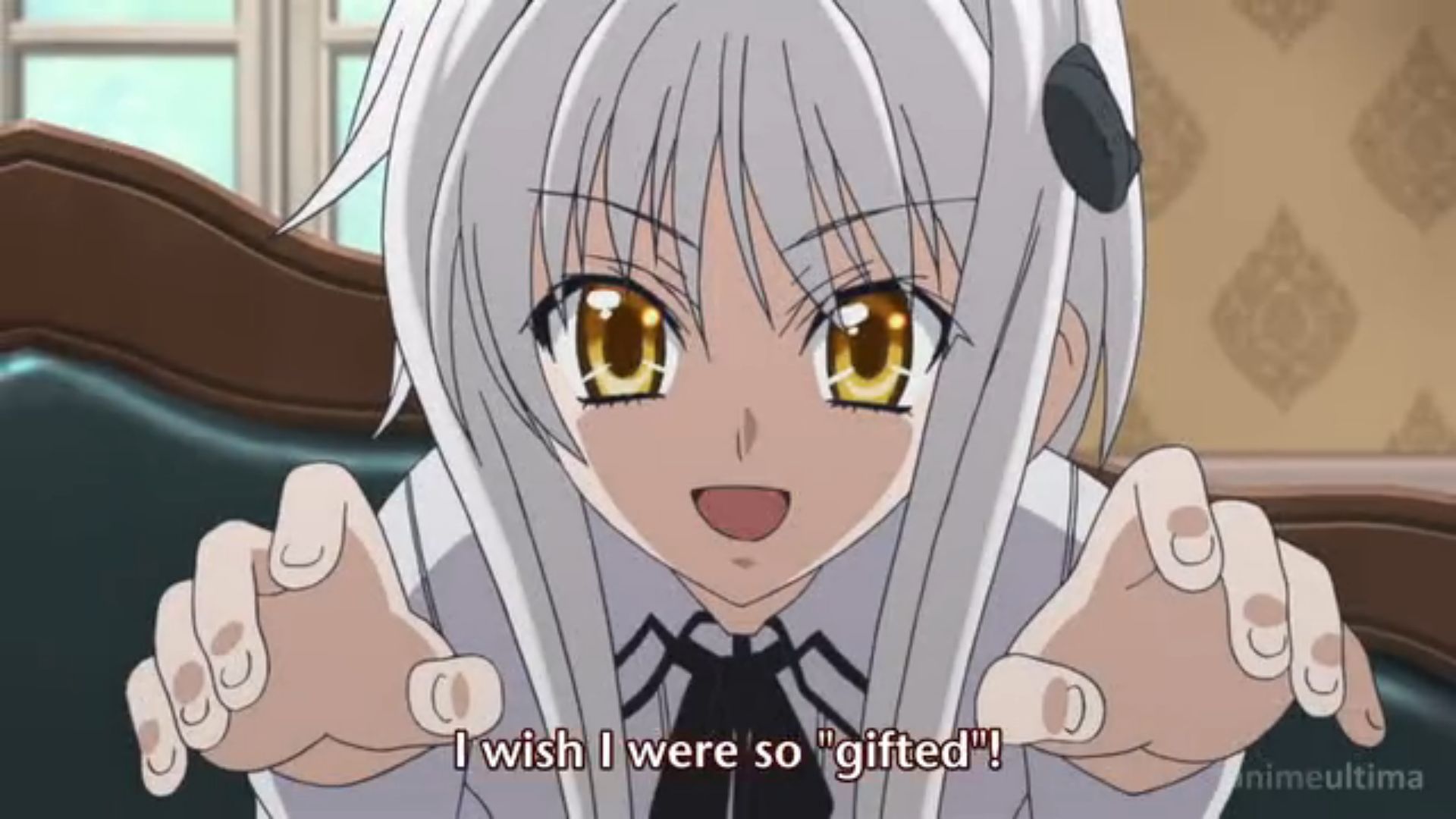 Daily Koneko 127 | Scrolller