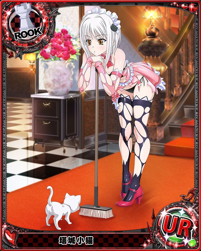 Daily Koneko #170 | Scrolller