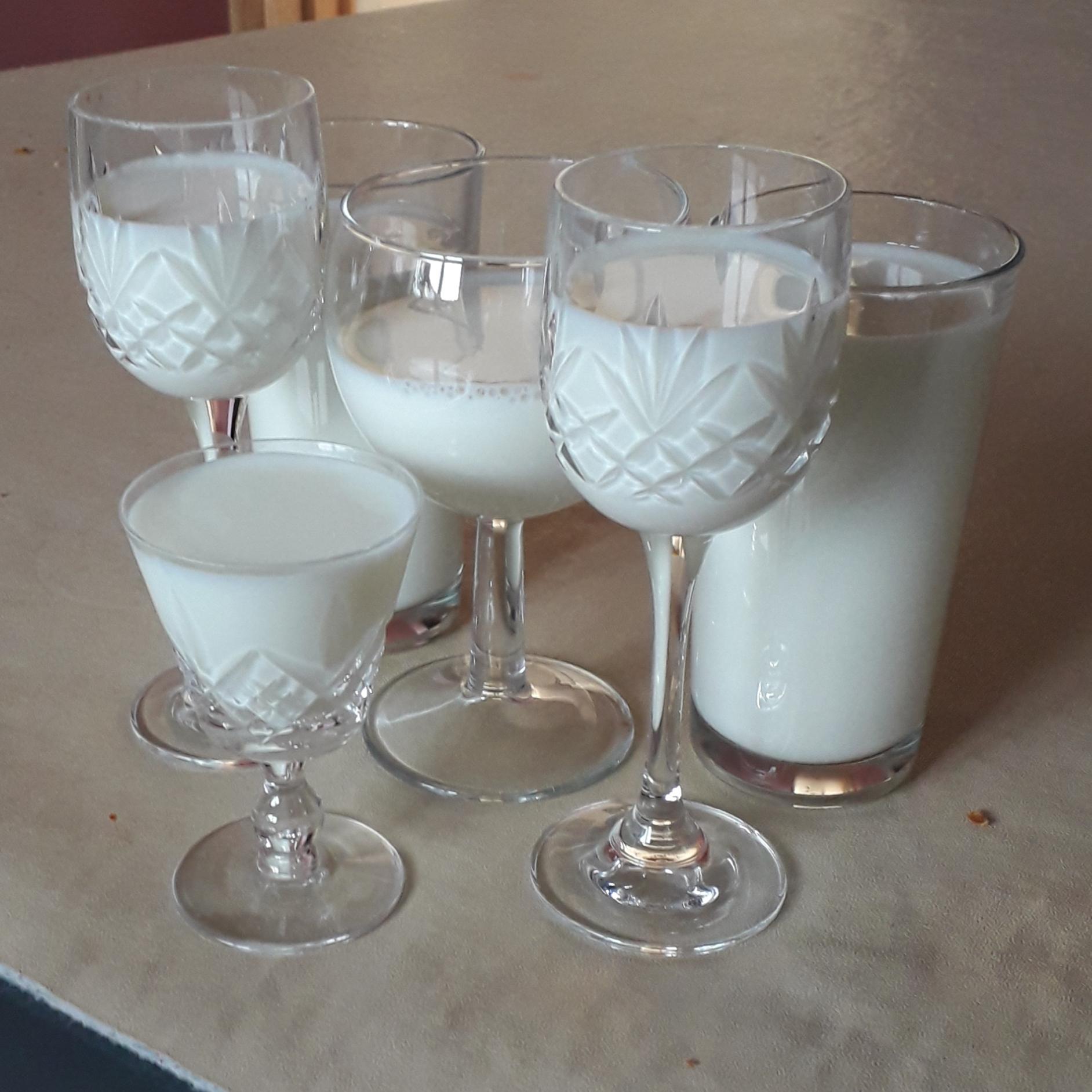 Daily milk [day #6] | Scrolller