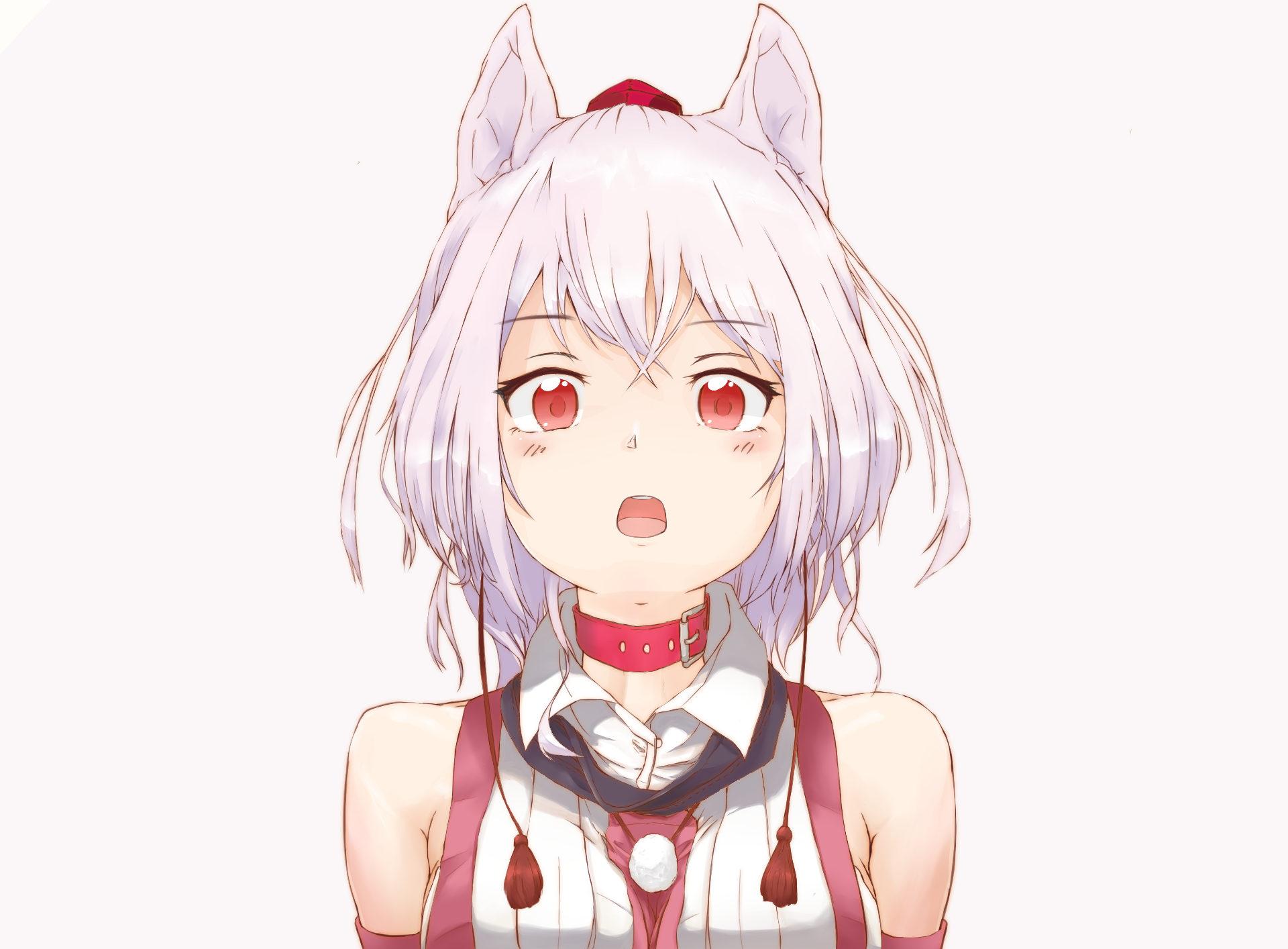 Daily Random Awoo #265 | Scrolller