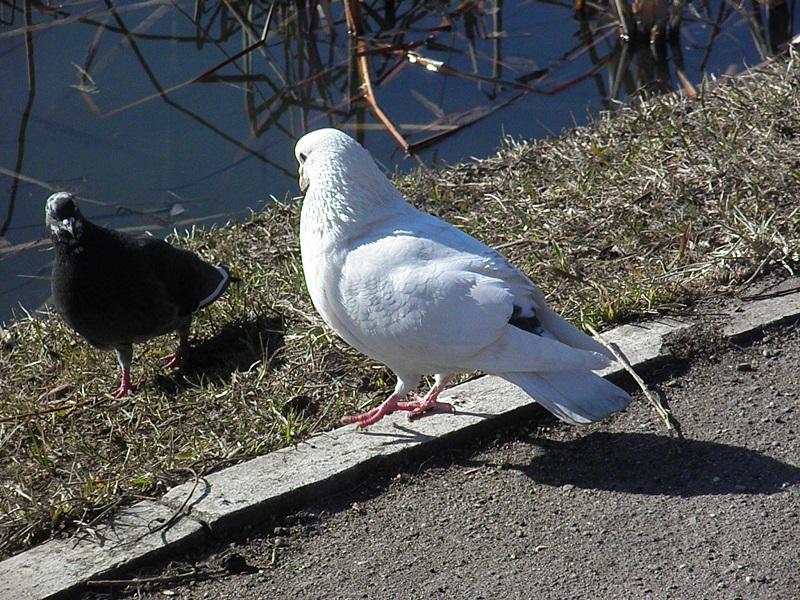 Dancing for his girlfriend =) [OC] | Scrolller
