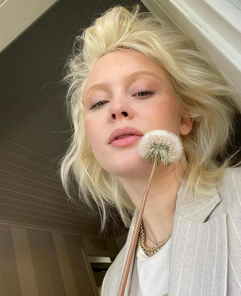 Dandelion | Scrolller