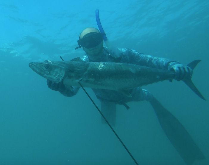 Dania Beach, FL 2017-11-22 King Mackerel | Scrolller