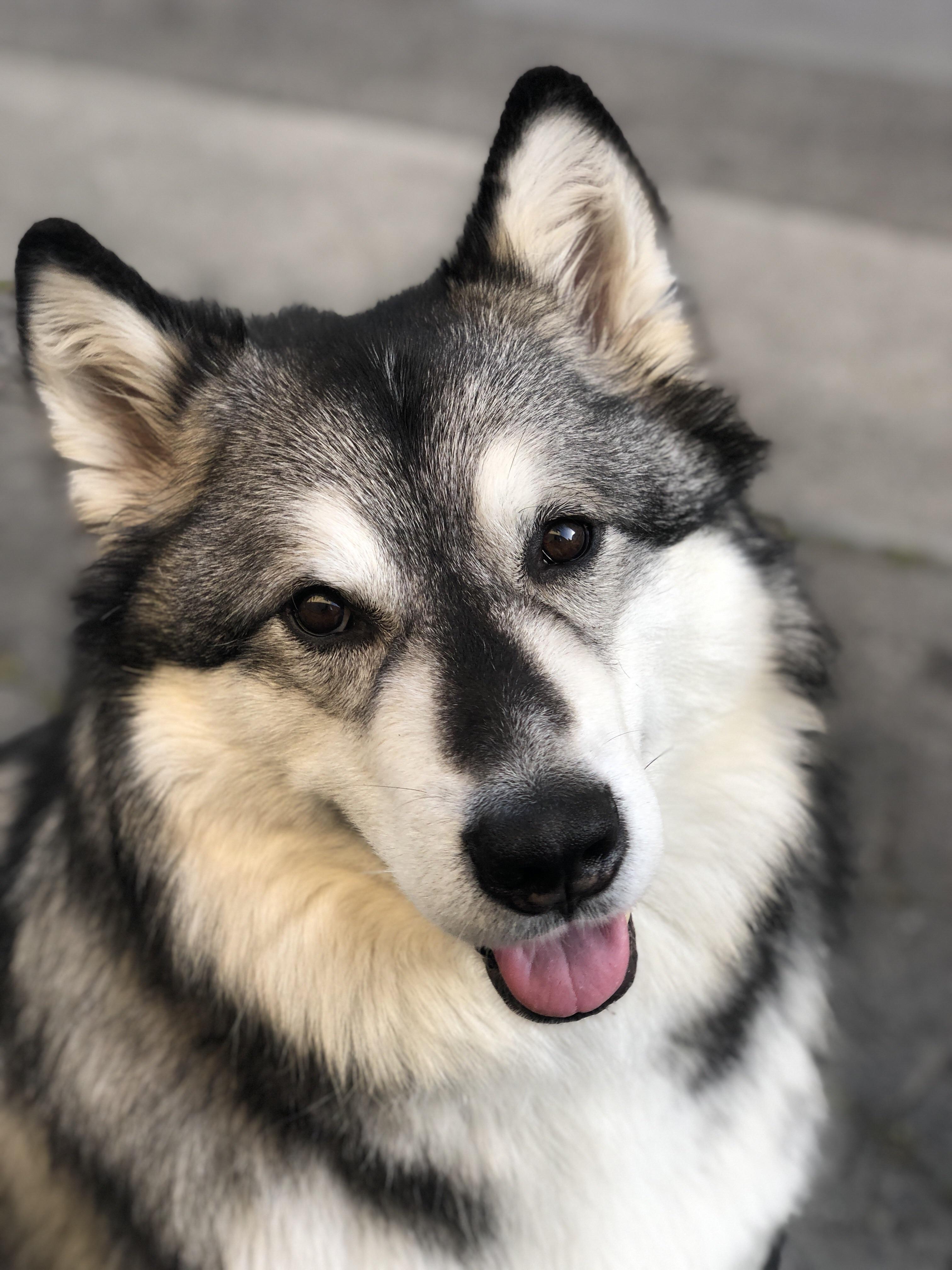 Danny boy looking handsome as always! | Scrolller