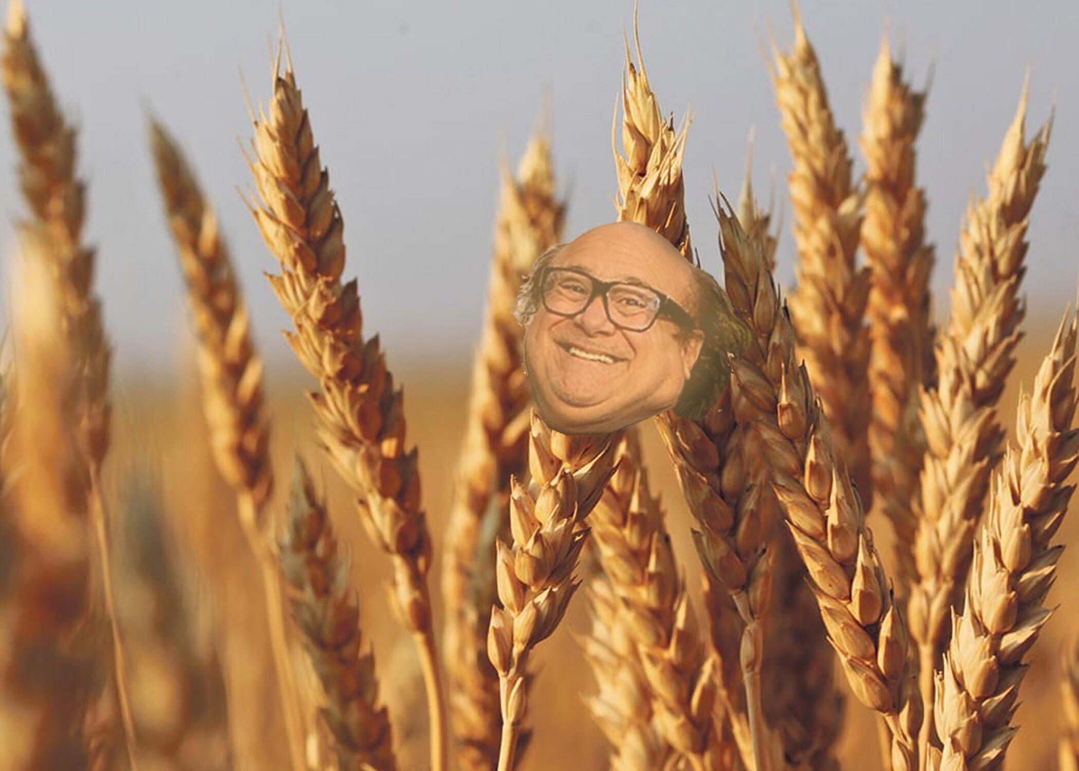 Danny DeWheato | Scrolller