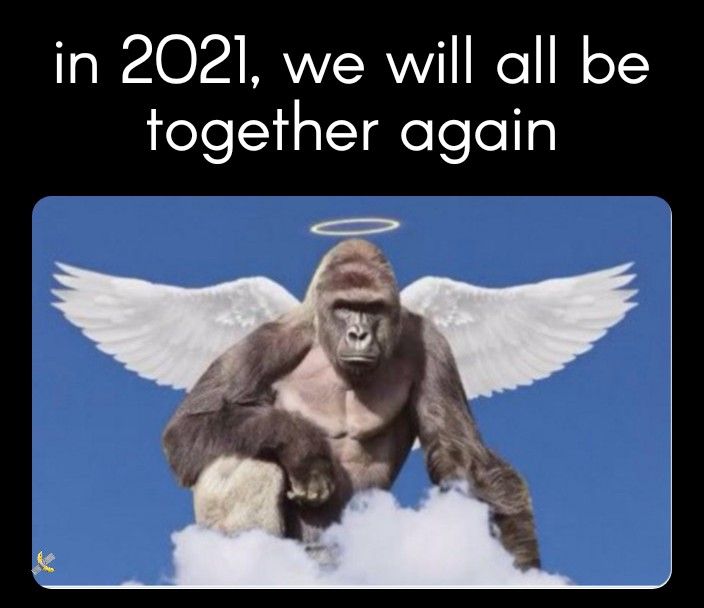 dark mode for Harambe | Scrolller