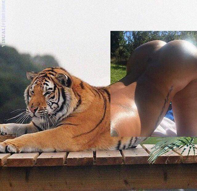 Dat Ass Tho Scrolller