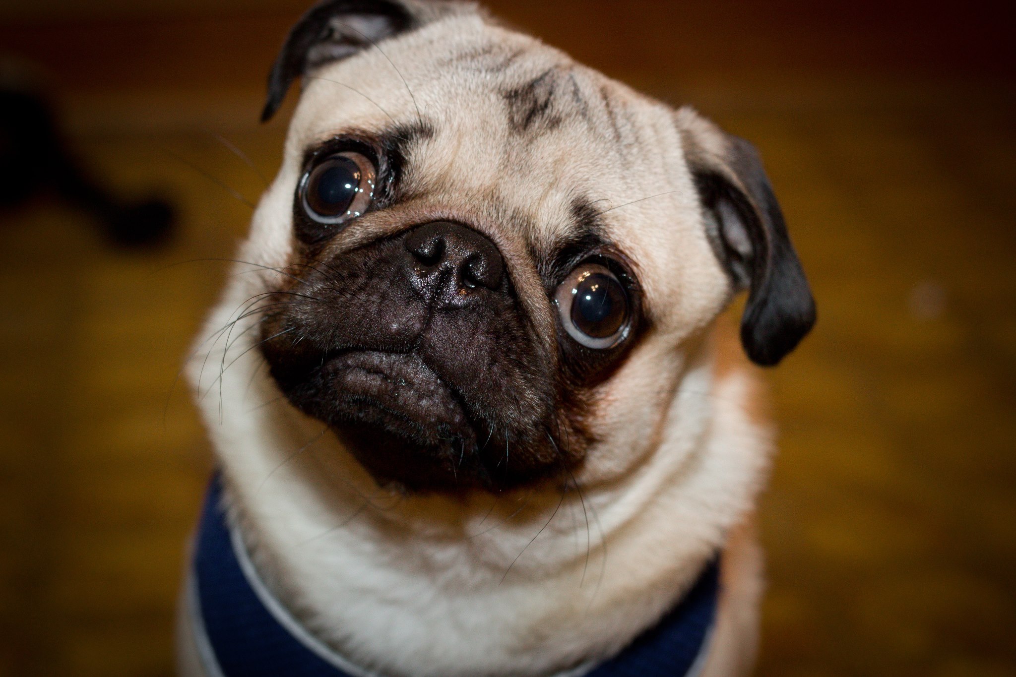 DAT FACE | Scrolller