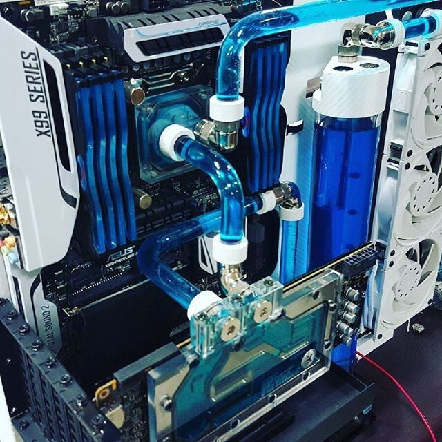 Dat loop tho | Scrolller