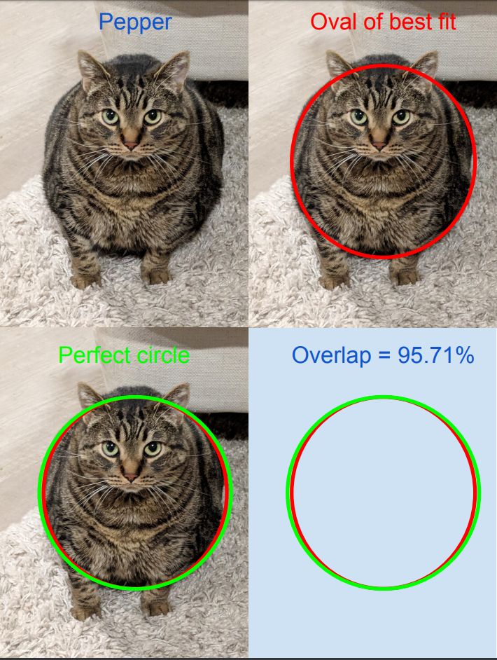 data_irl | Scrolller